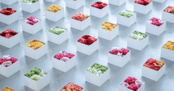 akeru project（岩嵜紙器オンラインショップ）について